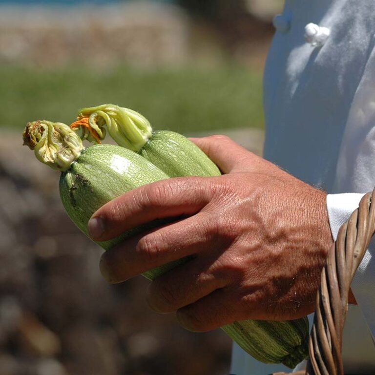 Benetos